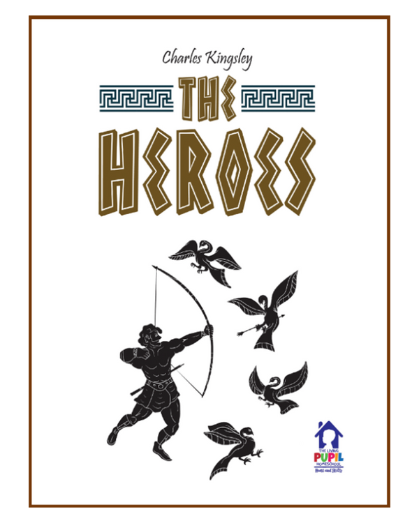 The Heroes – DMC Print-On-Demand